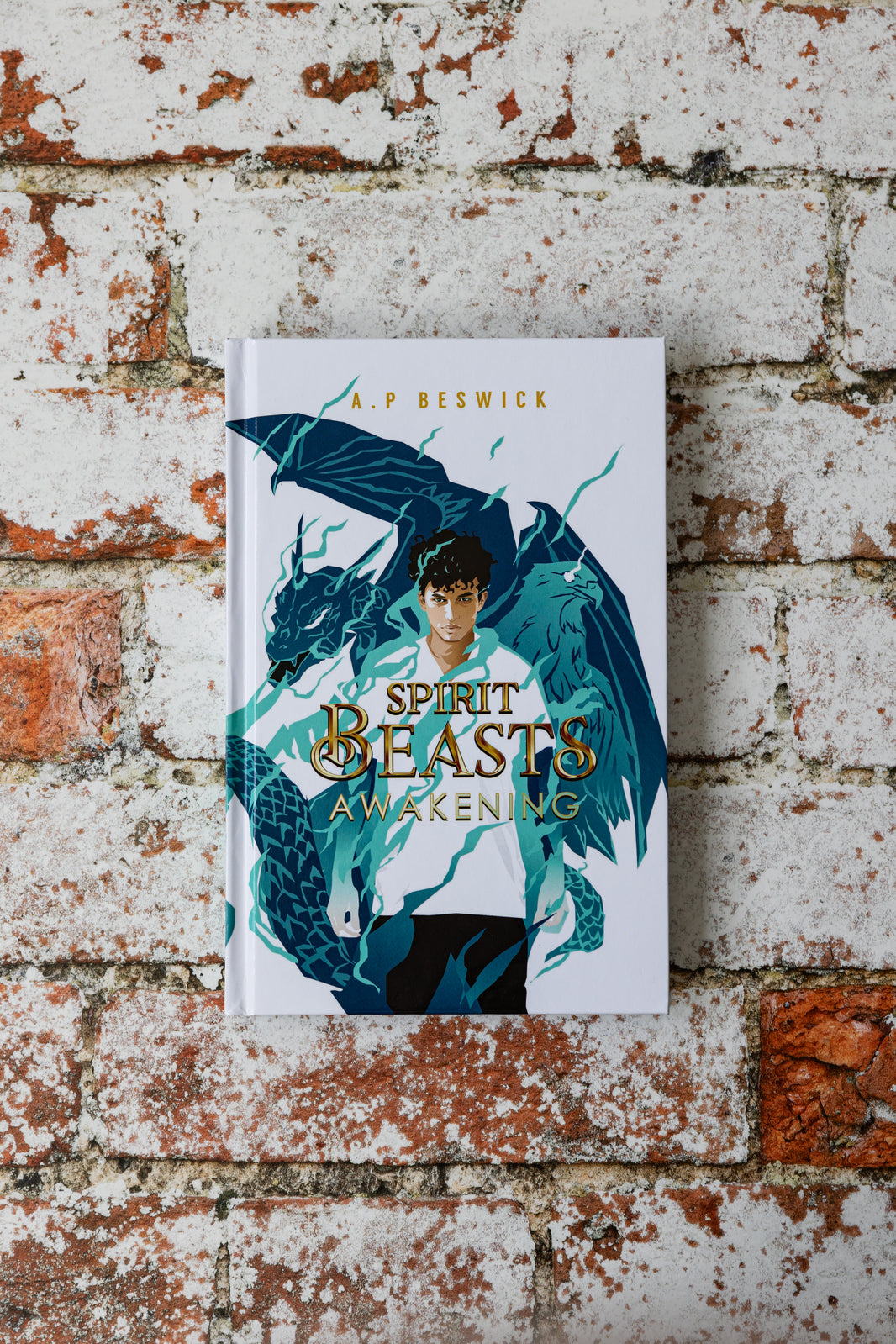 The Spirit Beast Saga — Signed Progression Fantasy by A.P. Beswick – A ...