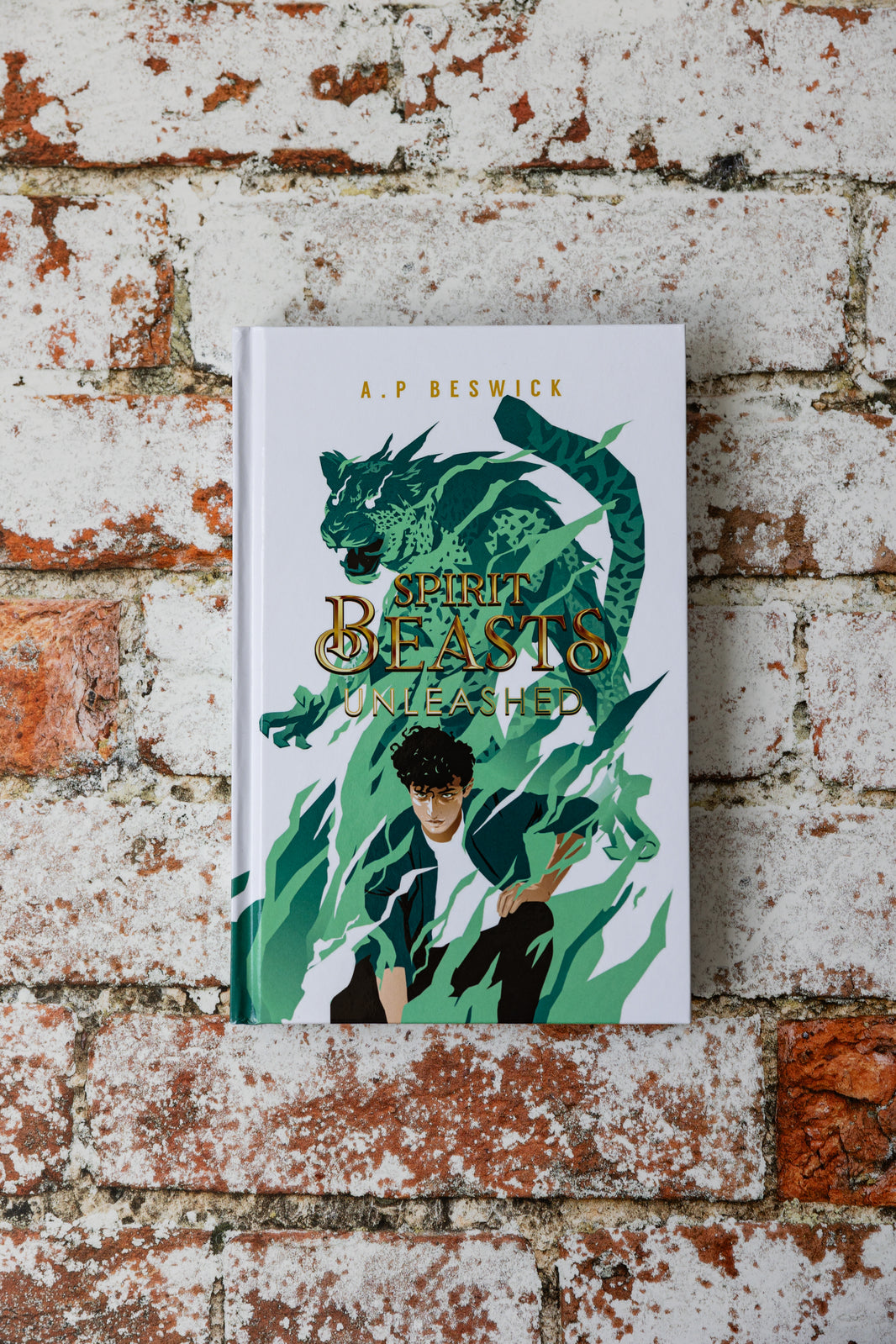 The Spirit Beast Saga — Signed Progression Fantasy by A.P. Beswick – A ...